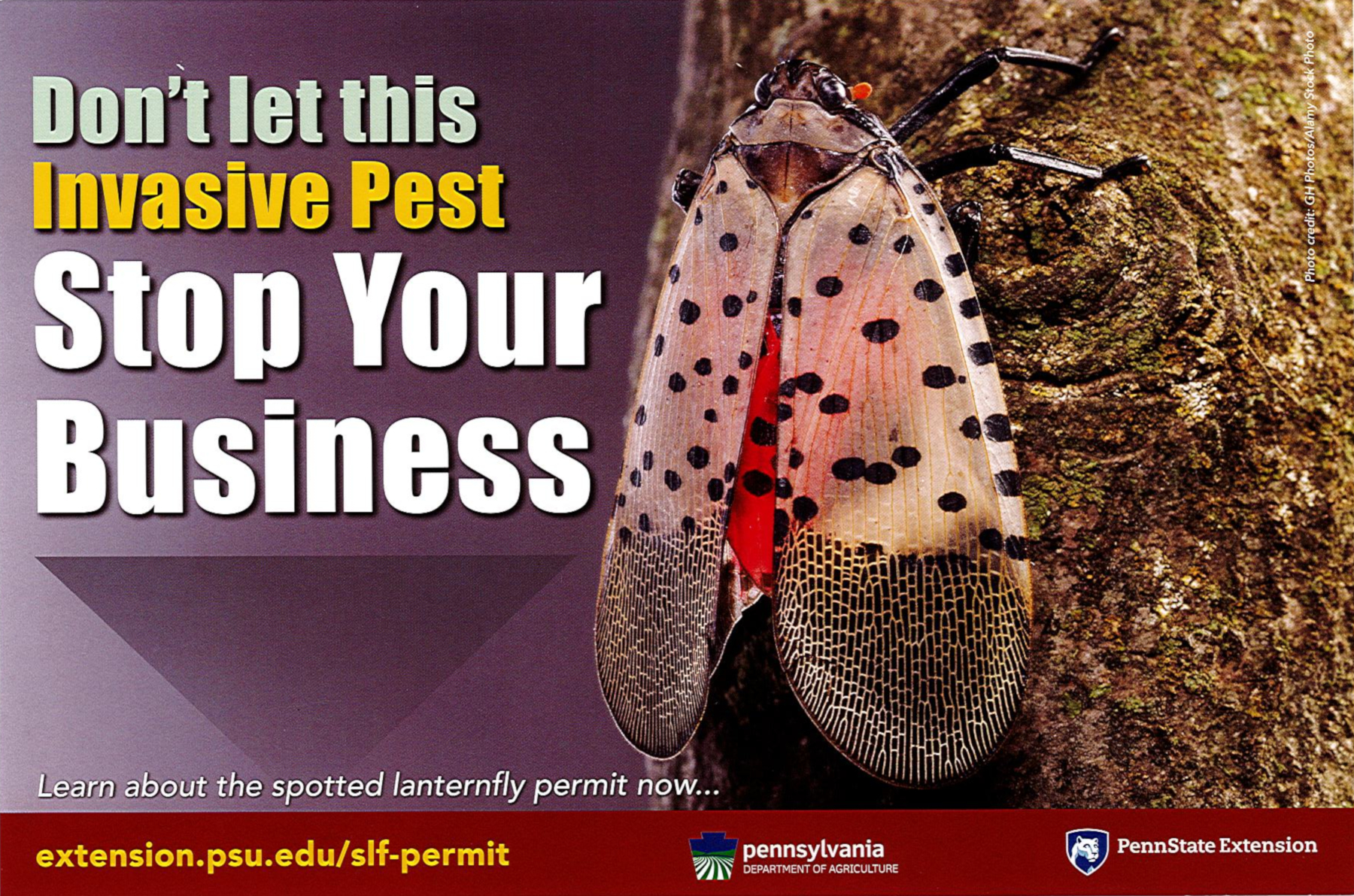 Spotted Lanterfly permit required flier_pg1 – Penn Township, Lancaster ...
