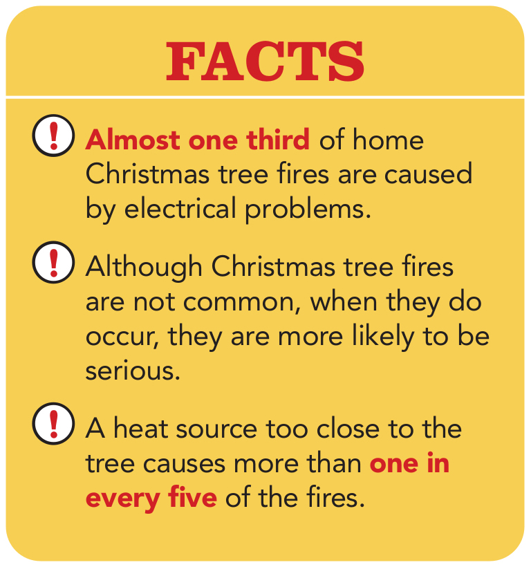 ChristmasTreeSafetyFacts – Penn Township, Lancaster County, PA